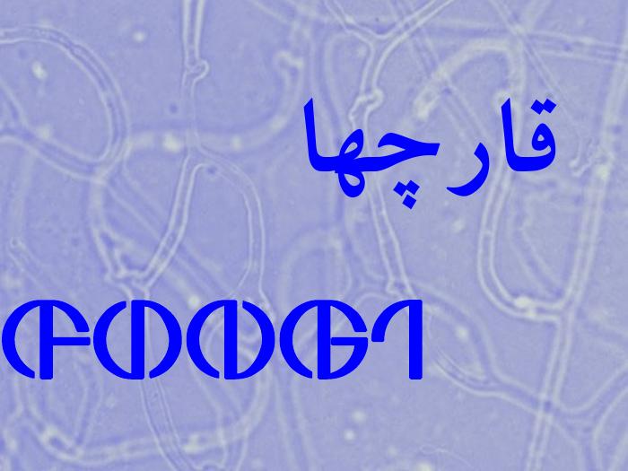 مرجع دانلود پاورپوینت | قارچ ها